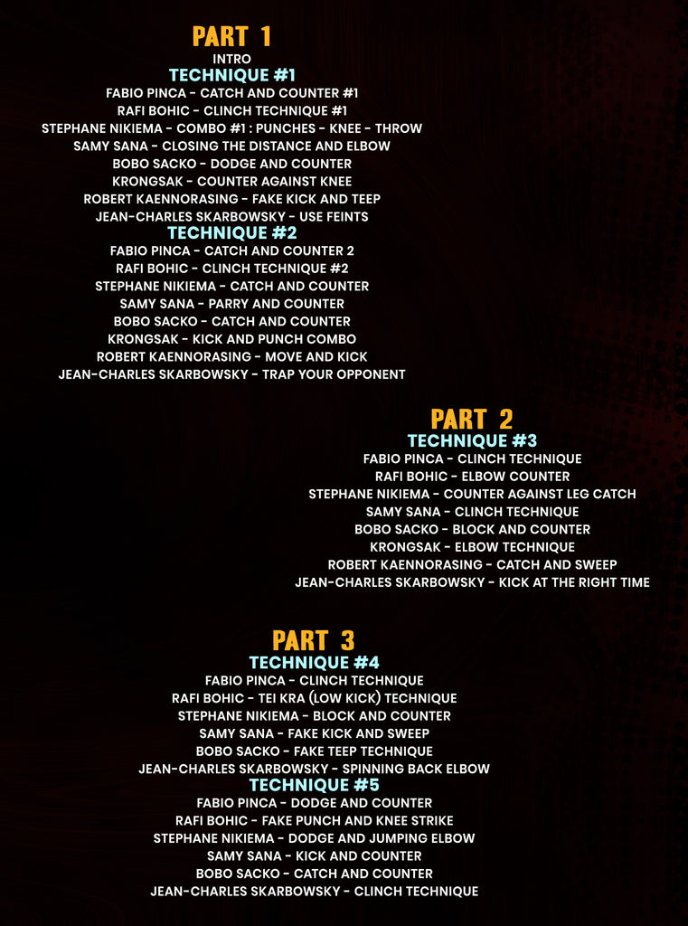 Masterclass Legends 2024 by Jean-Charles Skarbowsky – Dynamic Striking