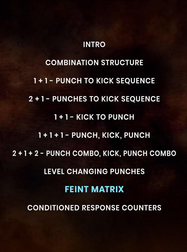 Art of Striking Combos, Counters, & Feints by Charles Martinez – Dynamic Striking