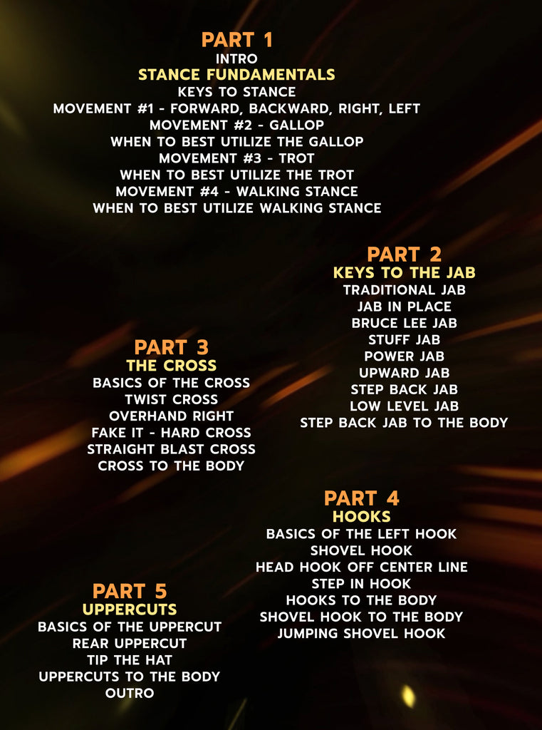 Basic Striking For MMA Volume 1: Punches by Charlie Vinch – Dynamic Striking