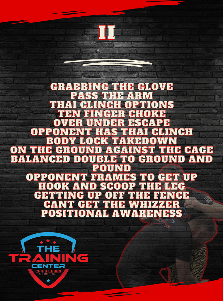 The Crippler's Guide To Wall Wrestling By Chris Leben – Dynamic Striking