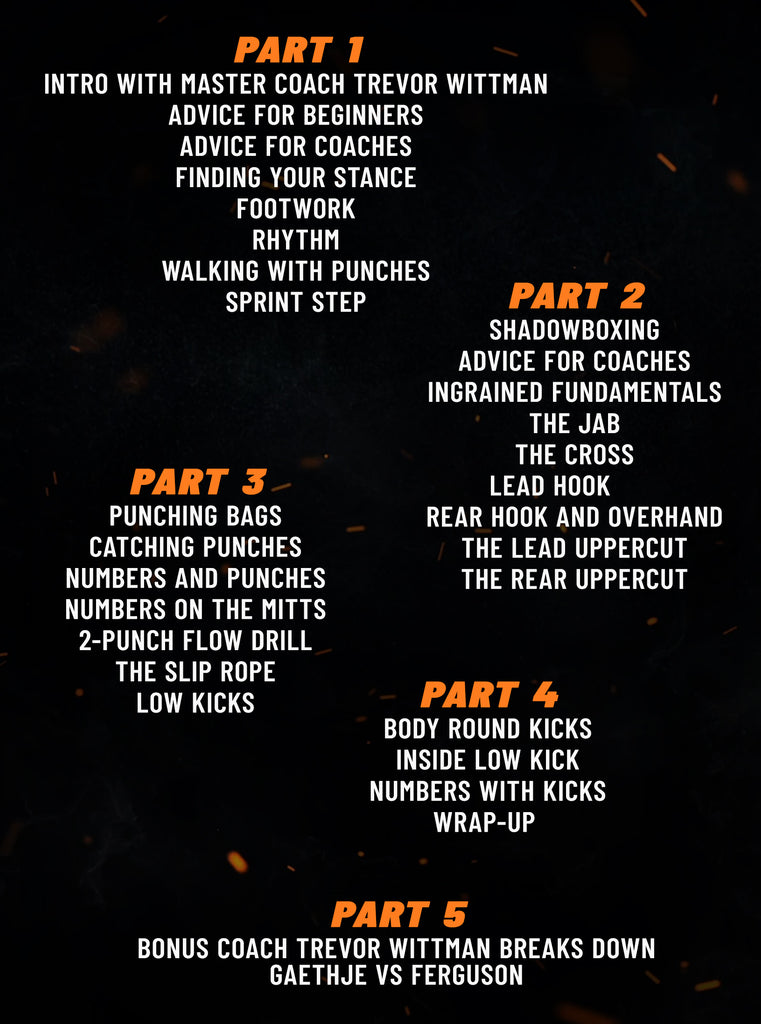 Tao of MMA: MMA Striking by Trevor Wittman and Duane Ludwig – Dynamic ...