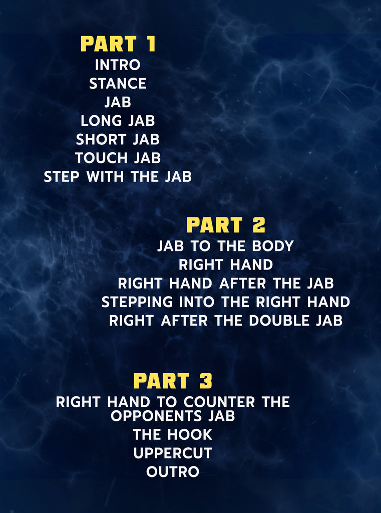 The Art Of The Jab by Brian Bomac Mcintyre – Dynamic Striking