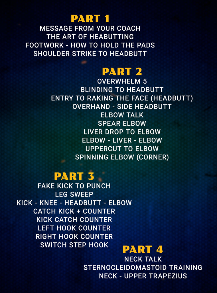 New Generation Lethwei by Dave Leduc – Dynamic Striking