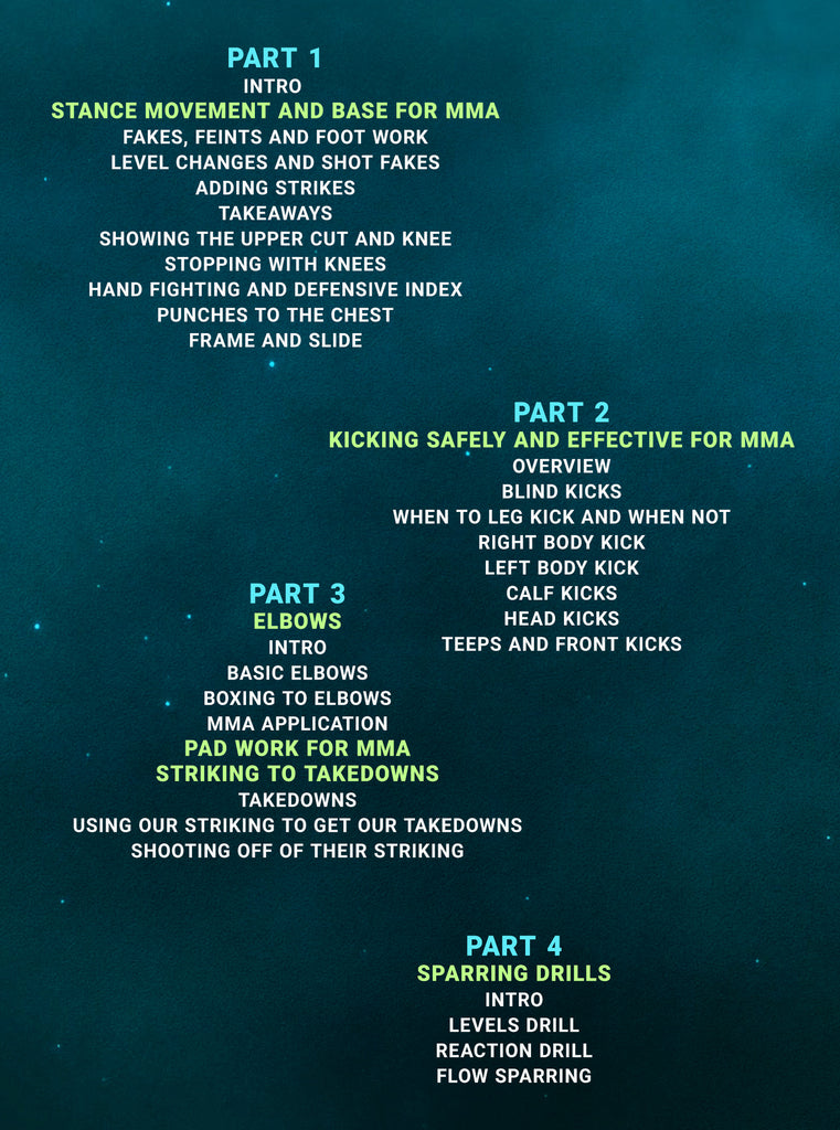 World Class Effective Striking For MMA by Kirian Fitzgibbons – Dynamic ...