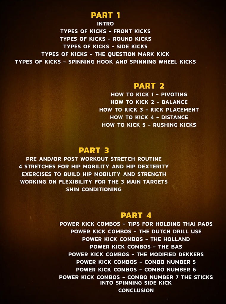 Power Kicks by PJ McGee – Dynamic Striking