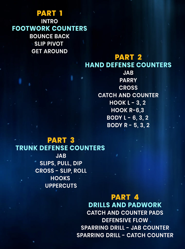 Counter Punching Masterclass by Ray Sabur – Dynamic Striking