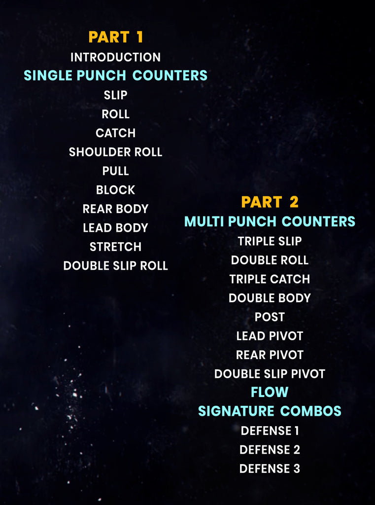 The Padbros Mayweather System by Ray Sabur – Dynamic Striking