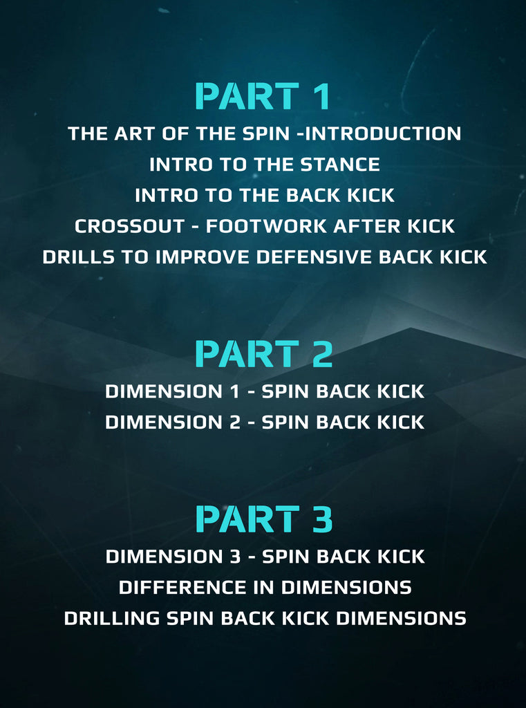 The Art of The Spin Kick Volume 1 by Raymond Daniels – Dynamic Striking