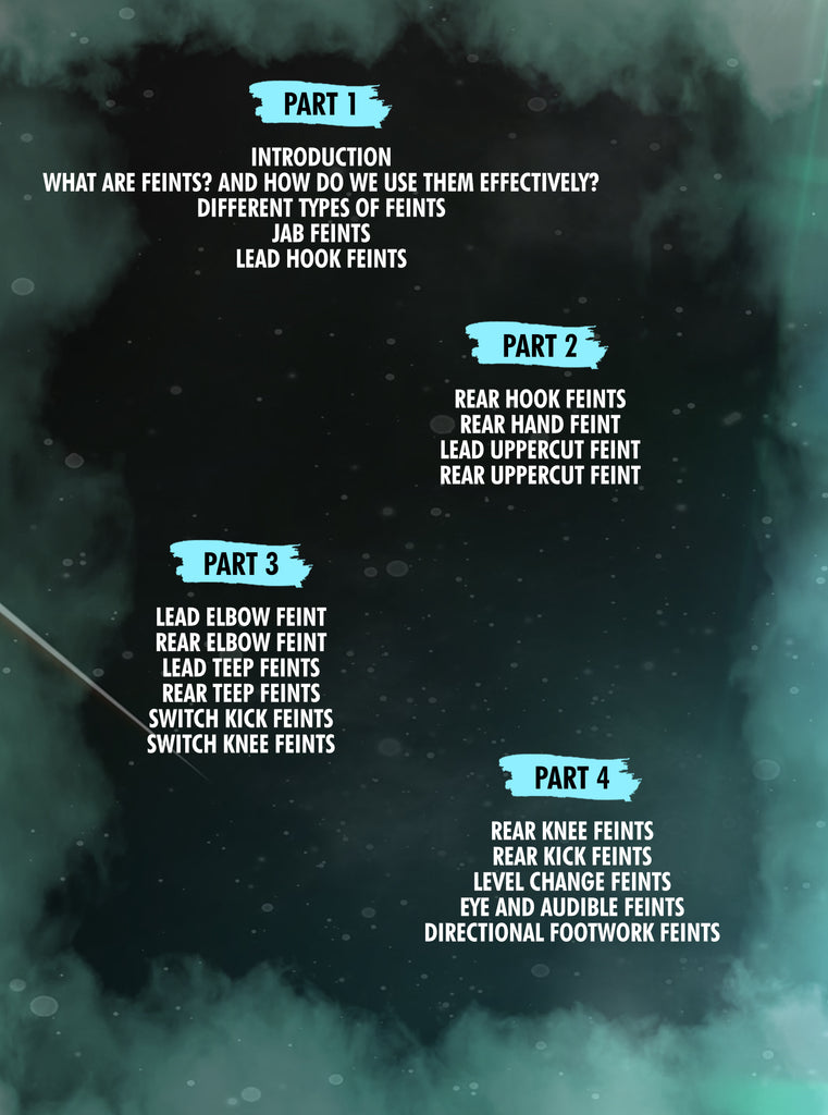 The Art Of The Feint by Micah Brown – Dynamic Striking