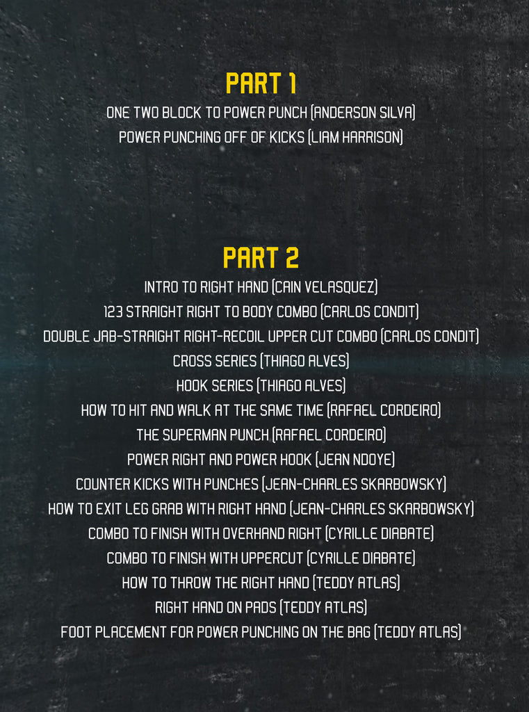 The Ultimate Guide To Power Punching – Dynamic Striking