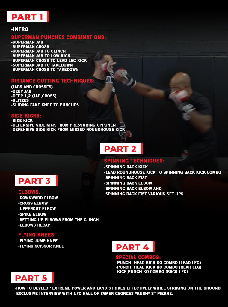 MMA Striking by David Loiseau – Dynamic Striking